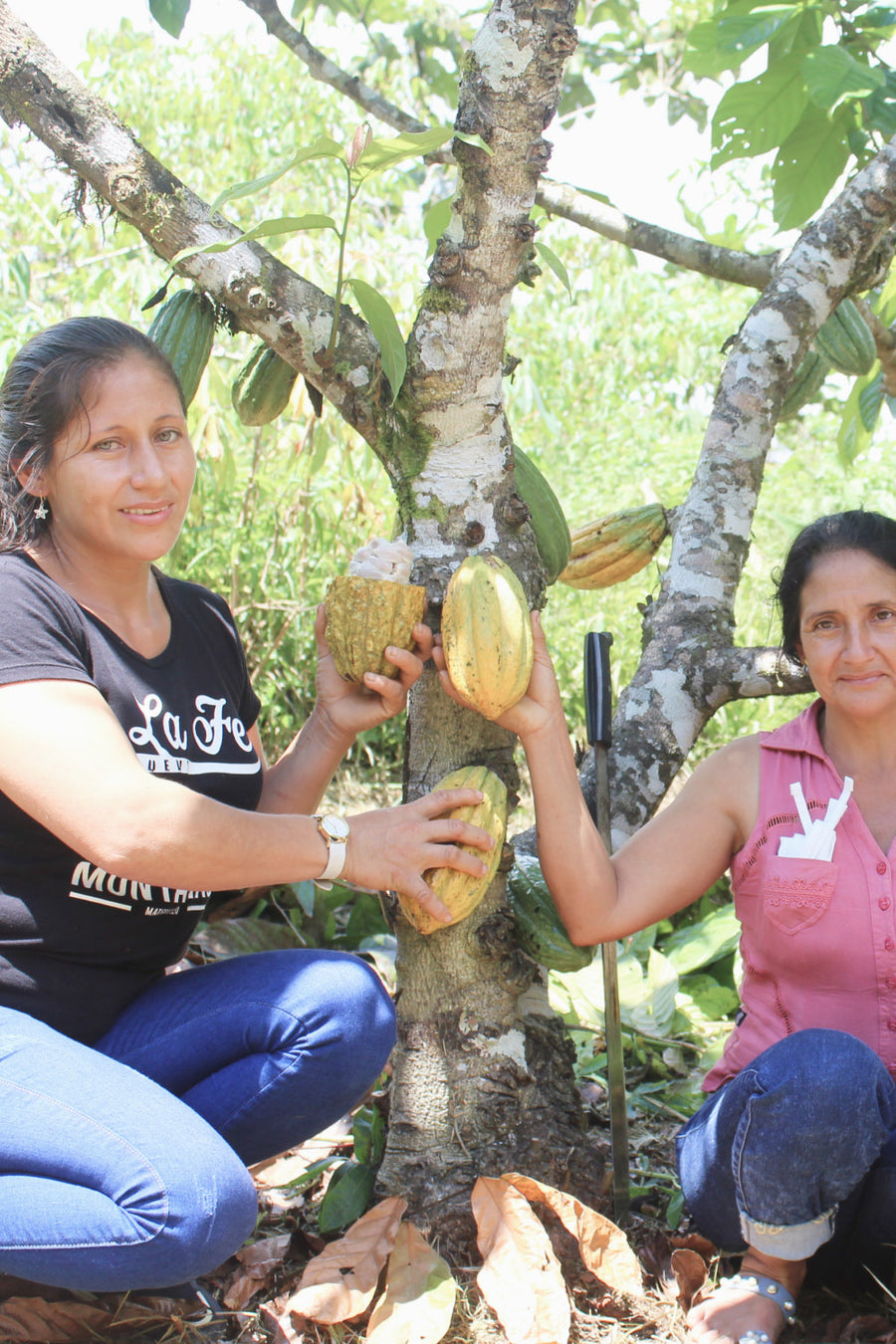 Cacao für Zeremonien & Rituale | Heart Cacao | Criollo Blanco | Bio & Fair